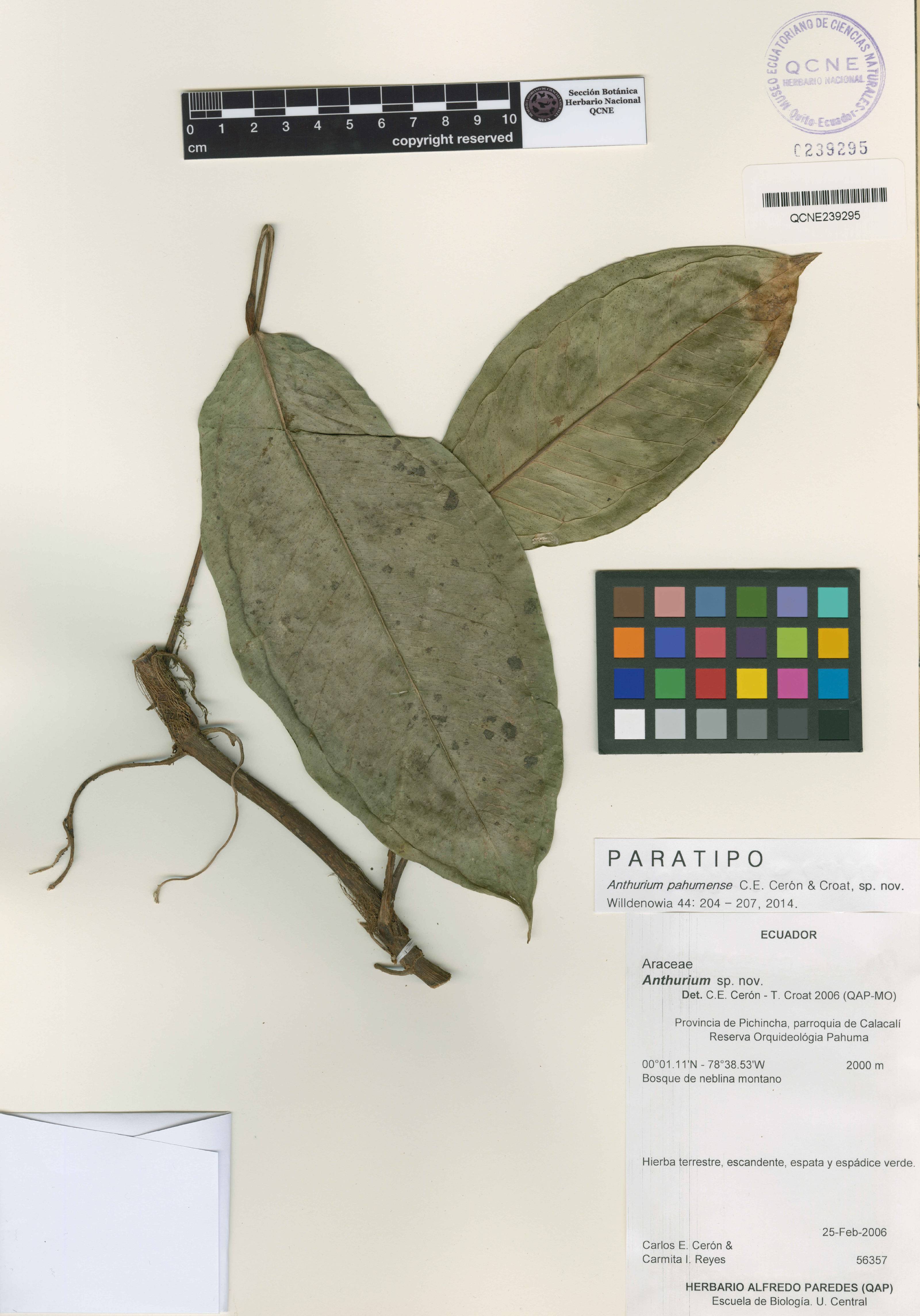 Symbiota INABIO Detailed Collection Record Information