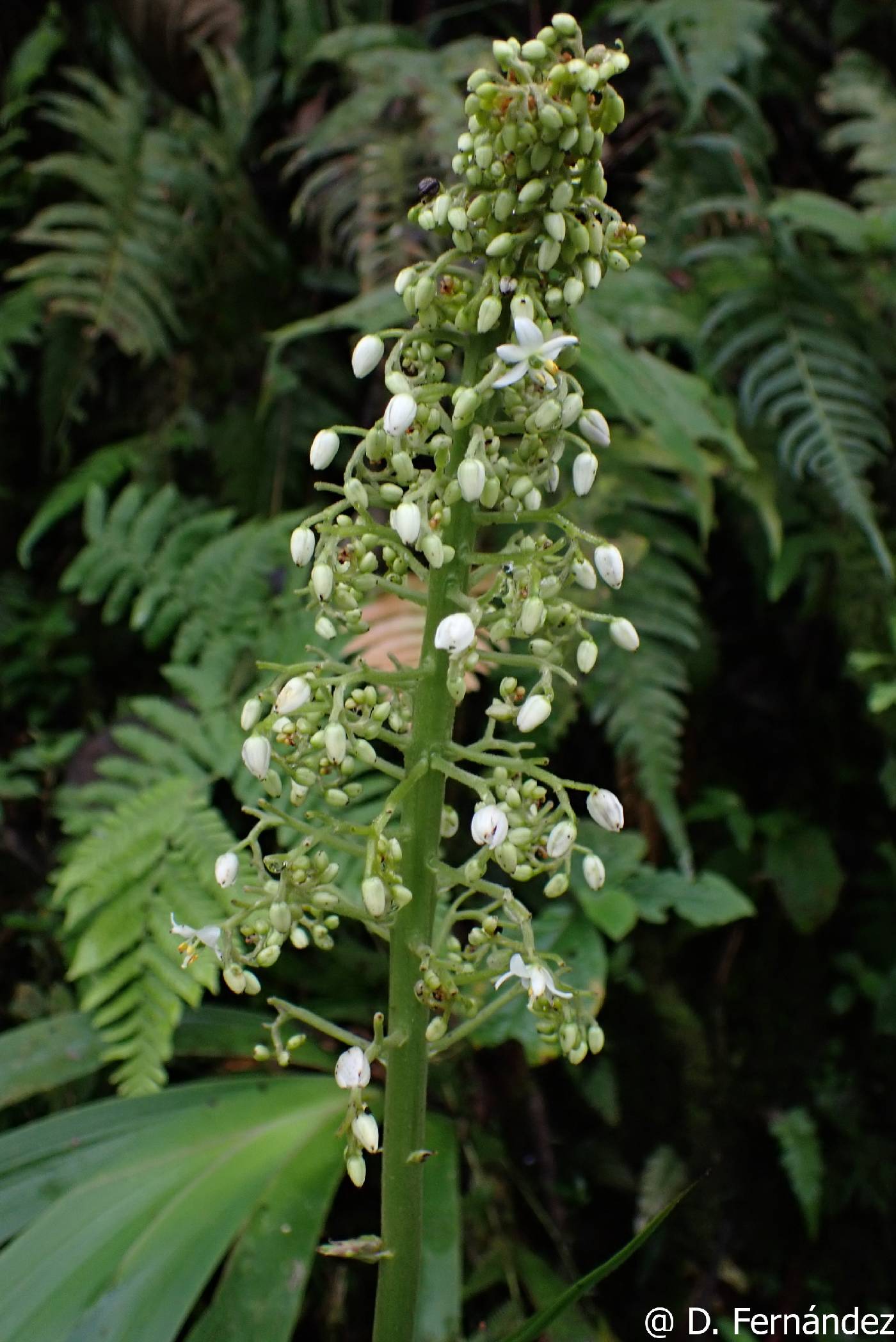 Symbiota INABIO Detailed Collection Record Information